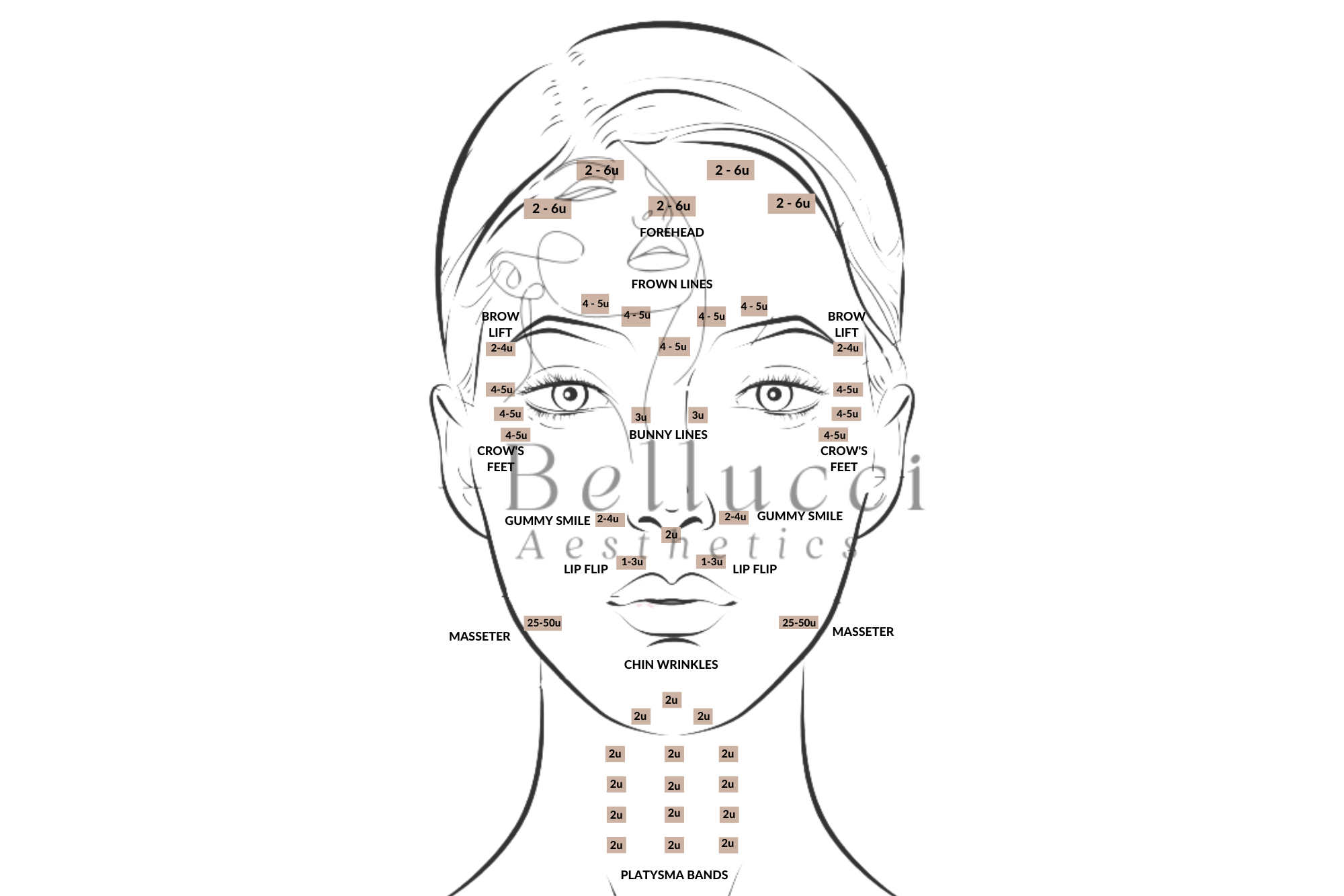 FAQ | Everything You Need to know about Aesthetic Injectables